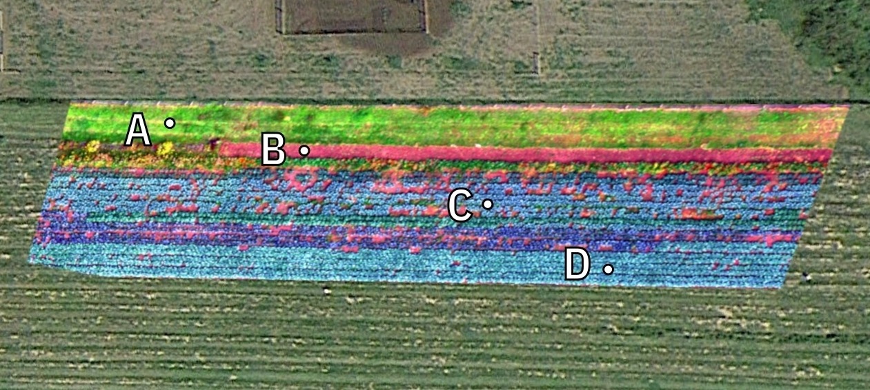 Hyperspectral, Multispectral, LiDAR: Technology Comparison